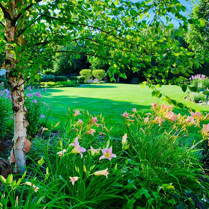 Chalet Landscape | Award-winning Landscape Design + Build Services ...